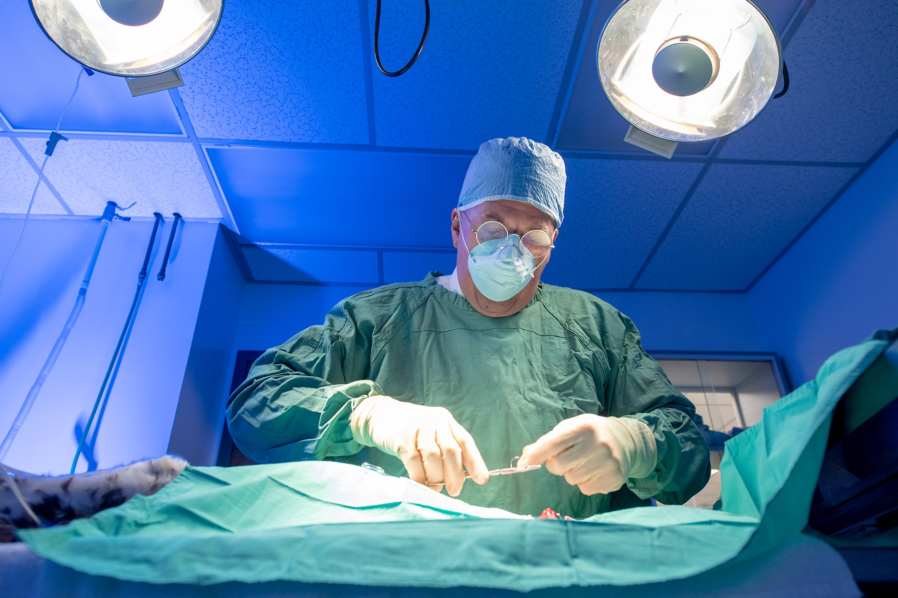 Surgery - Hershey Veterinary Hospital